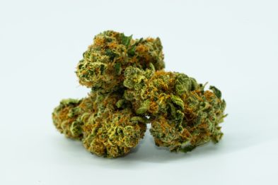 Top 30 Strongest Marijuana Strains | Ozark MMJ Cards