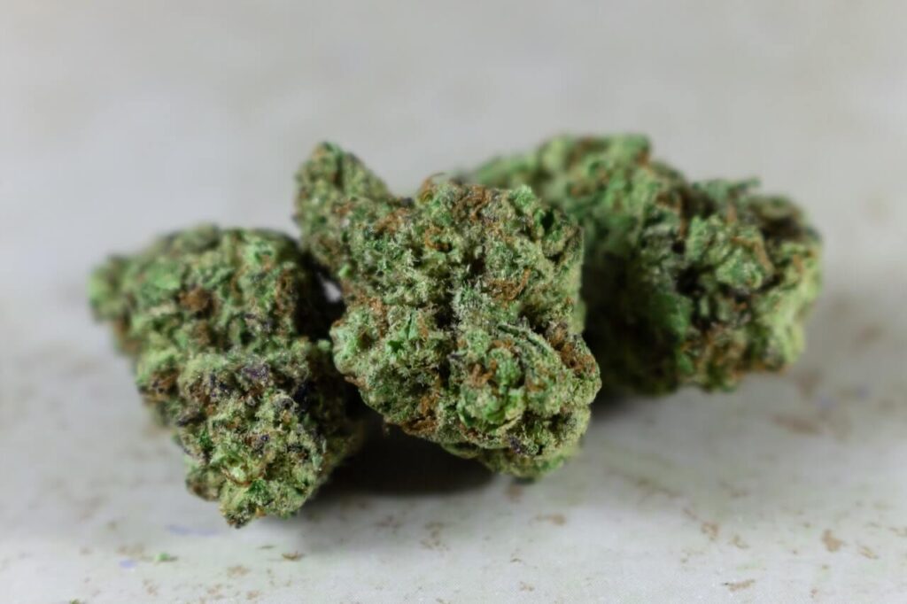 The Best Marijuana Strains for Back Pain | Ozark MMJ Cards